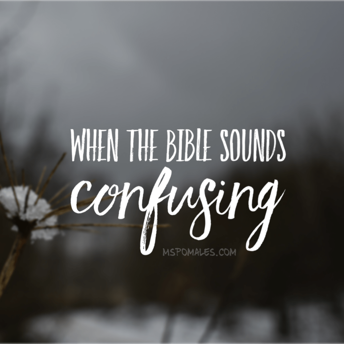When The Bible Sounds Confusing – Faithfully Broken